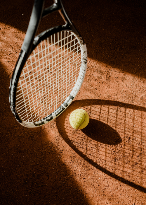 Natural Gut Tennis Racquet Strings – NGSTRING.COM
